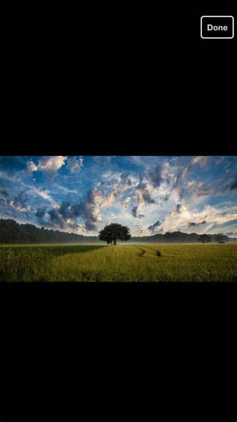 Image Gallery With Slider Demo Ionic Forum