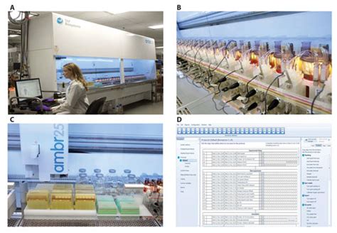 High Throughput Bioprocess Development
