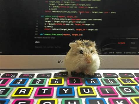 Building Ai Powered Apps With Next Js In 2025 By Codew Medium