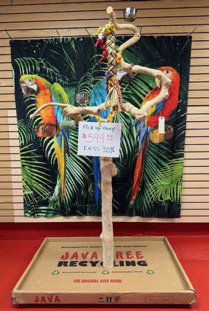 Java Tree Bird Stand Java Tree Bird Stand