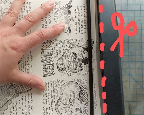 How To Fold A Mini Zine Step By Step Fiona Barnacle