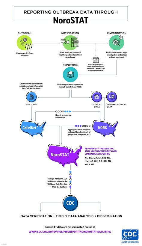 Reporting Through Norostat Flowchart Norovirus Cdc