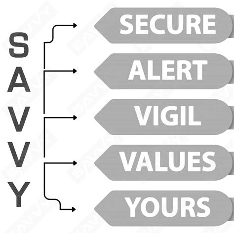 About Savvy Security
