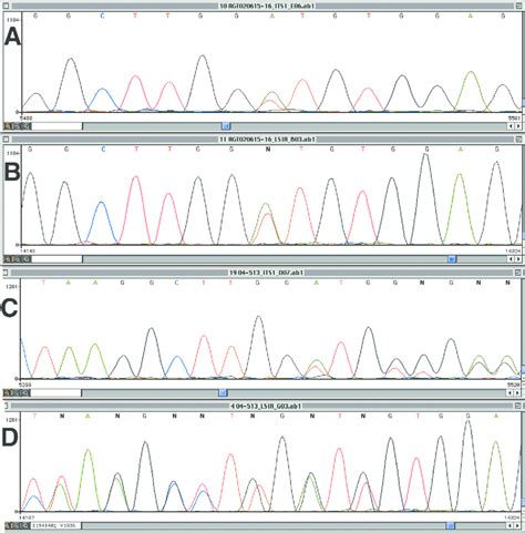 intra individual rdna sequence variation in nematoctonus geogenius