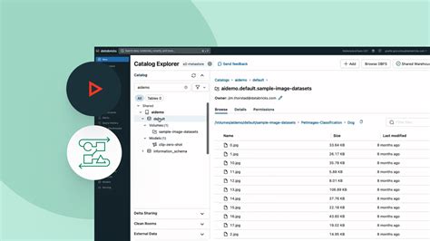 Volume Sharing With Delta Sharing Databricks