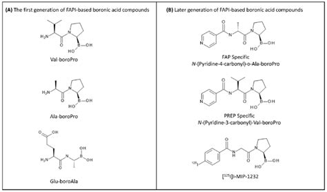 Different Relevant Fapi Molecules Based On Boronic Acid Warhead A