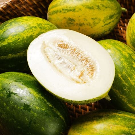 경북 고령 고당도 파파야 메론 2kg5kg
