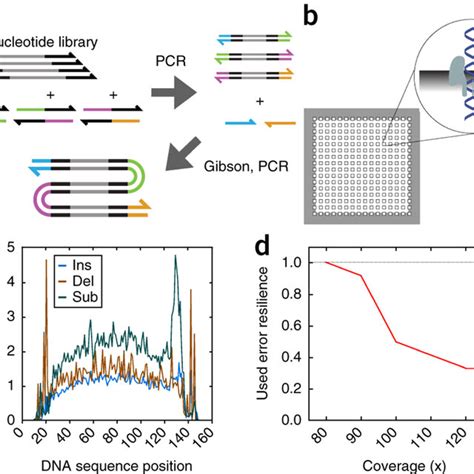 design of random access primers and coding algorithm a i we designed