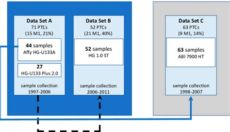 Study Scheme The Set C Is Highlighted By A Different Color Of The Download Scientific Diagram