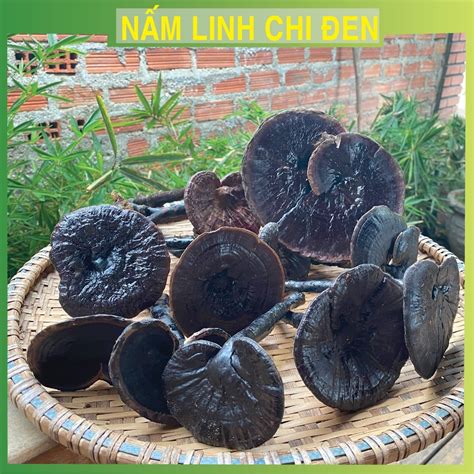 Cách Sử Dụng Nấm Linh Chi đen để Tận Dụng Tối đa Lợi ích Cho Sức Khỏe