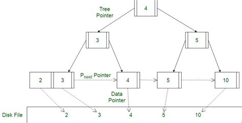 Database B Tree Vs Hash Index Database Bosque