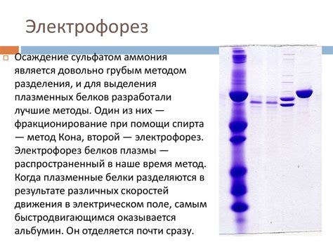 Кровь, как биохимическая лаборатория - презентация онлайн
