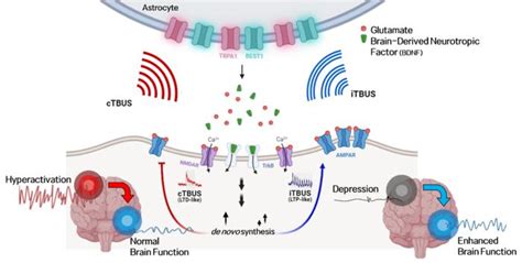 Revolutionary Brain Stimulation Technique Shows Promise For Treating Brain Disorders Super