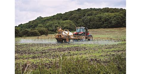 Без санкции за подадени след 15 май заявления за директни плащания Български Фермер