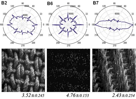 Typical Orientation Histogram By The Image Analysis For The Edges Of Download Scientific