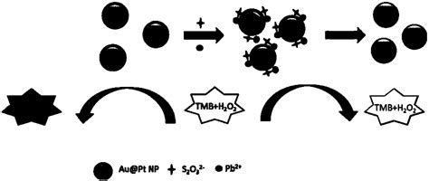 Detecting Method For Lead Ions Eureka Patsnap