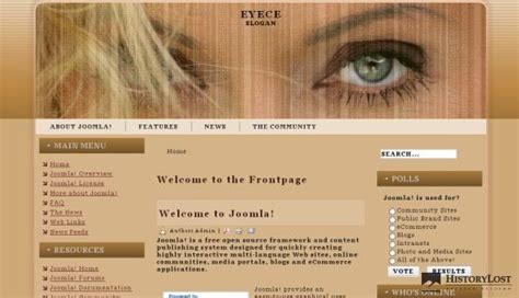 Free Joomla Sexy Eyes Brown Theme Template