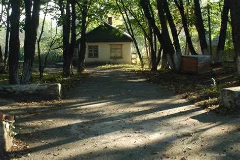 노래하는 풍경 러시아에서 만난 사랑스러운 집 실제는 꽤 허름한 집인데 햇빛이 비쳐 예뻐 보입니다