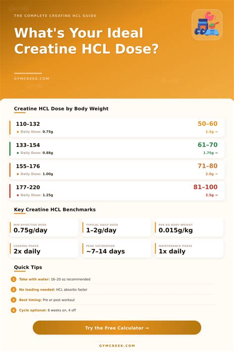 Creatine Hcl Dosage Calculator Find Your Ideal Daily Dose Gymcreek