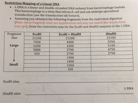 solved restriction mapping of a linear dna a dna is a