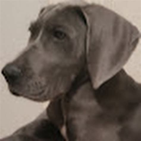 Timothy Keith Youtube