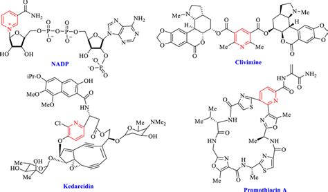 Structure Of Pyridine As Natural Products Download Scientific Diagram