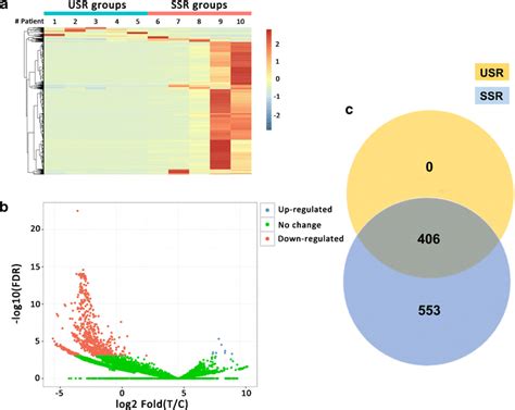 Rna Seq Reveals A Differential Pirna Expression Profiles A Heat Map Download Scientific