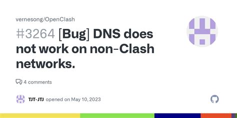 Bug Dns Does Not Work On Non Clash Networks · Issue 3264