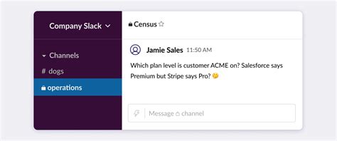 IPaaS Vs Reverse ETL Choosing The Right Tool For The Right Data Integration Job Census