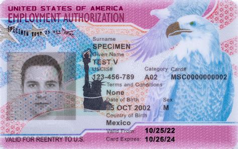 Timeline How Long Does It Really Take To Get An Ead Card