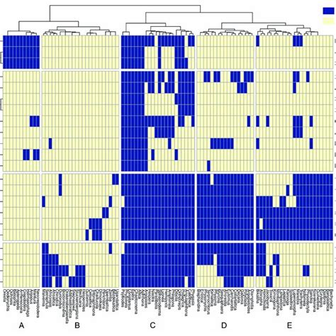 Map Of Randomised Block Design At Rothamsted Farm 51 80847 0 38566 Download Scientific Diagram