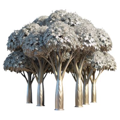 Architectural Tree PNGs For Free Download