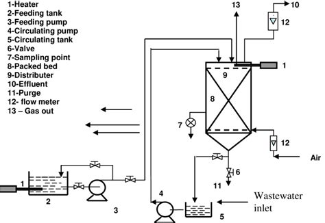 Schematic Diagram Of The Packed Bed System Download Scientific Diagram