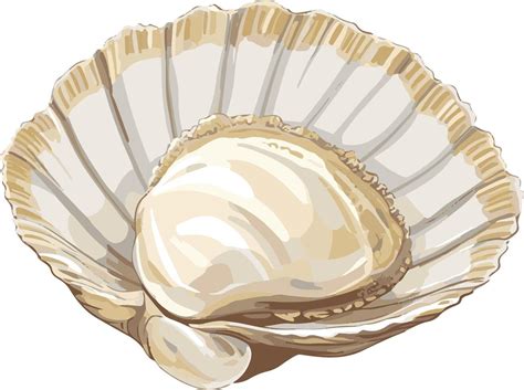 Adorable Cute Simple Bivalve Clipart 52238378 Vector Art At Vecteezy