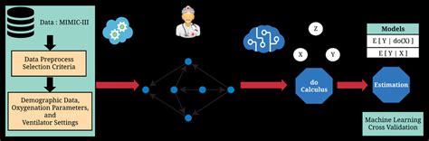 Schematic Diagram For The Causal Estimation Framework The Framework