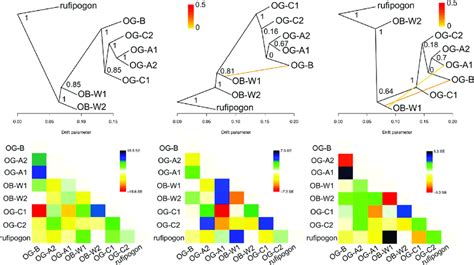 Treemix Admixture Graph Of Genetic Groups From O Barthii O