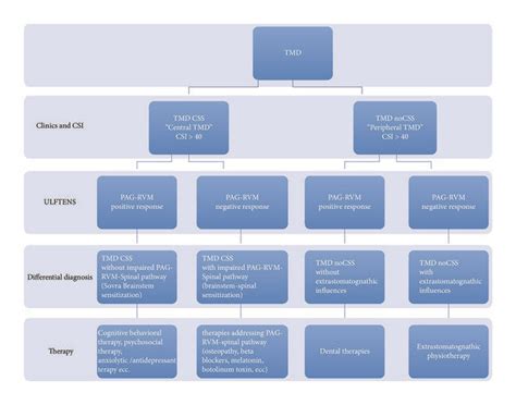 Differential Diagnosis Flowchart