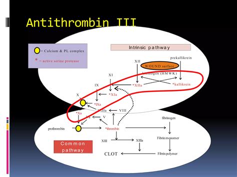 Hemostasis Surgury 2 Pptx
