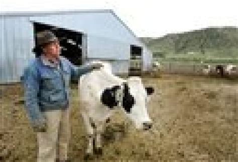 Montana Dairy Farmers Soured By Scandal Agweek 1 Source For