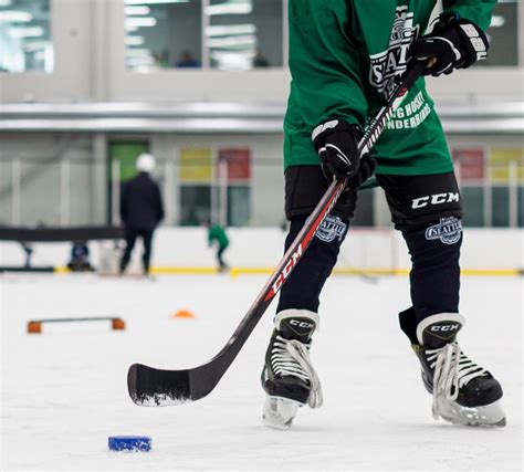 Mb Ice Arena Stick And Puck At Cornelius Davis Blog