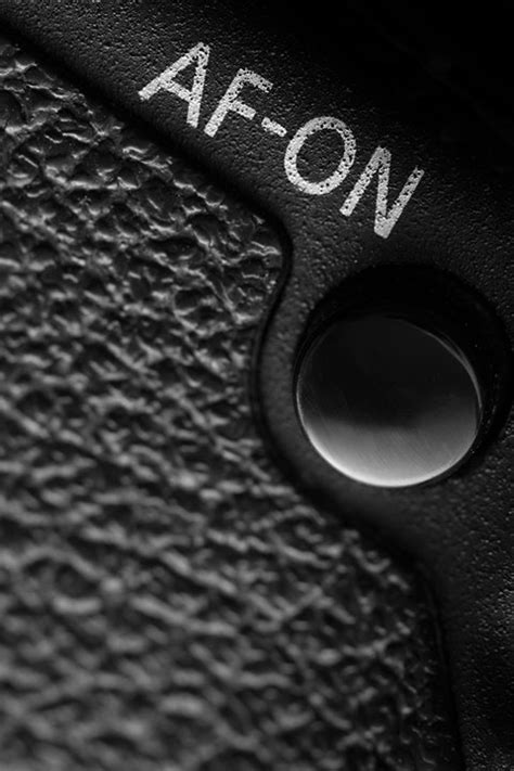 Autofocus Problems And How To Fix Them Discover Digital Photography