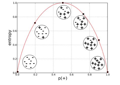Decision Trees Entropy And Logistic Regression Loss Advanced Learning