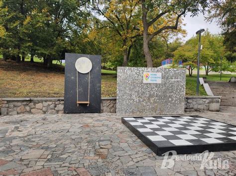 Квіткові зірки у Києві стартував фестиваль хризантем Вечірній Київ