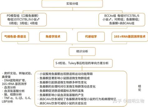 医学一区顶刊：靶向代谢组学探究支链氨基酸缓解帕金森小鼠的发病 知乎