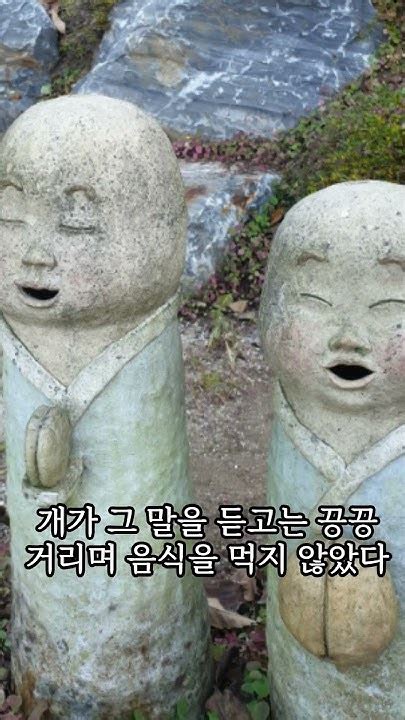 흰 개가 바로 너희 전생의 아버지다 돌아가서 개에게 재물 있는 곳을 가르켜 달라 하여라과연 커다란 독이 여러 개 나오고 금ㆍ은 보배가 독마다 가득하였다간탐심으로 금생에
