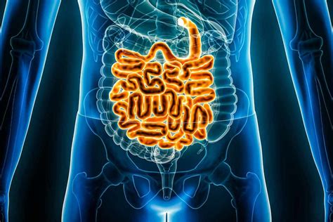 17 Surprising Facts About Richard Karn