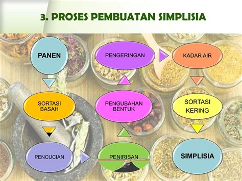 Prinsip Pembuatan Simplisia Pdf