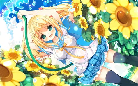 Himawari Anata Dake Wo Mitsumeteru Yande Re