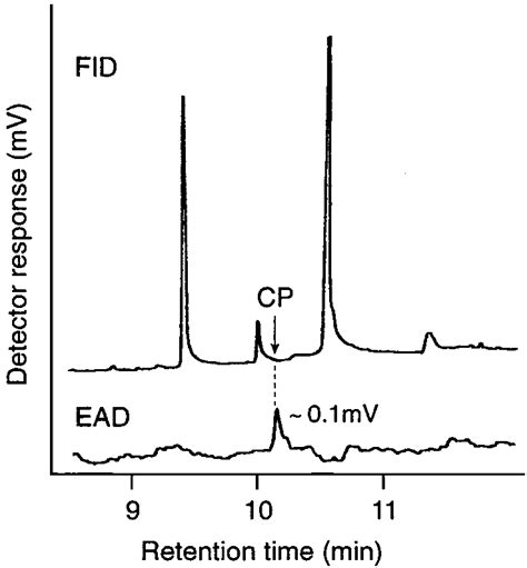 Flame Ionization Detector Fid And Electroantennographic Detector Download Scientific Diagram