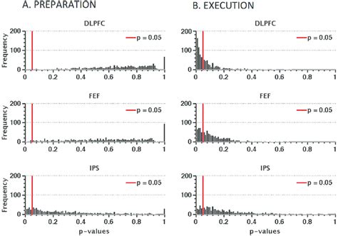 Results From An Analysis In Which Decoding Performance During The Download Scientific Diagram